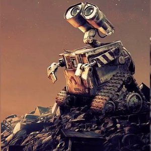 Watch Waddle Live Stream on BIGO LIVE