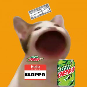 欢迎来到Bloppa的直播间