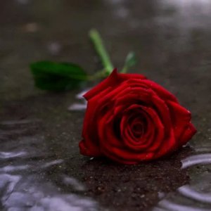 Watch Coco Live Stream on BIGO LIVE