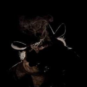 Watch O Sombra Live Stream on BIGO LIVE