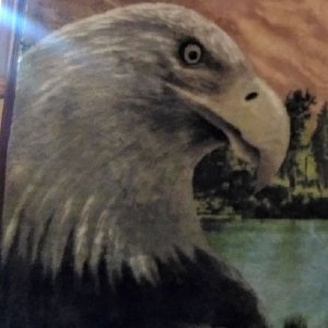 Watch Ghost-64 Live Stream on BIGO LIVE