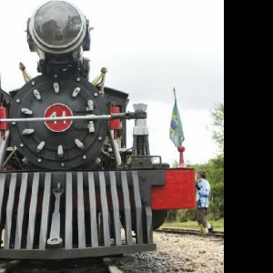 Watch a tropa do Wt22 Live Stream on BIGO LIVE