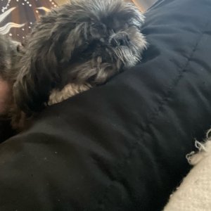 Watch emmaaaa Live Stream on BIGO LIVE