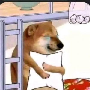 Watch El_Chems🐕 Live Stream on BIGO LIVE