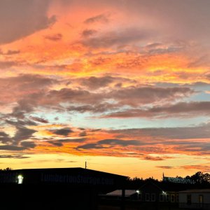 Watch Joe Hedrick ♾️🐺 Live Stream on BIGO LIVE