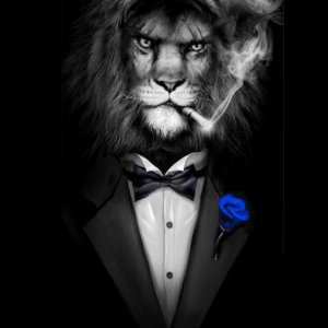 Watch 🦁8-19🦁RAY🦁 Live Stream on BIGO LIVE