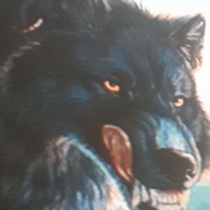 Watch DJ Wolf Live Stream on BIGO LIVE