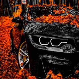 Watch new york_700 Live Stream on BIGO LIVE