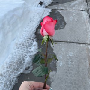 Watch CAMI RAMIREZ 🍀 Live Stream on BIGO LIVE