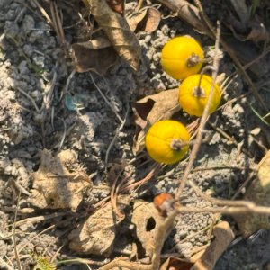 Watch U Live Stream on BIGO LIVE