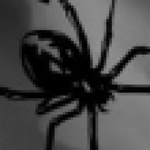 Watch azly Live Stream on BIGO LIVE