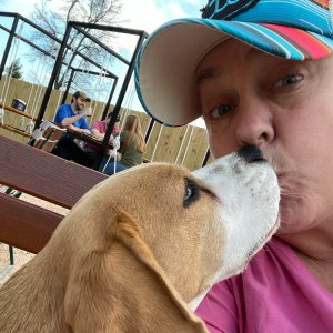 Watch Beagle Lady Live Stream on BIGO LIVE