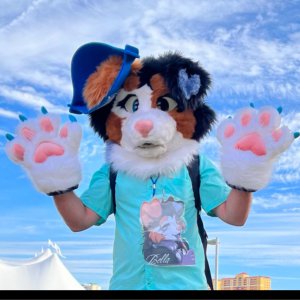 Watch Bella shep Live Stream on BIGO LIVE