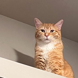 Watch Mykee Live Stream on BIGO LIVE