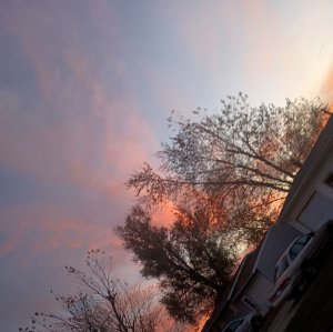 Watch DVR Lay Soe Live Stream on BIGO LIVE