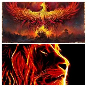 Watch 📸Lion Phoenix Live Stream on BIGO LIVE