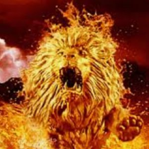 Watch Lobo Live Stream on BIGO LIVE